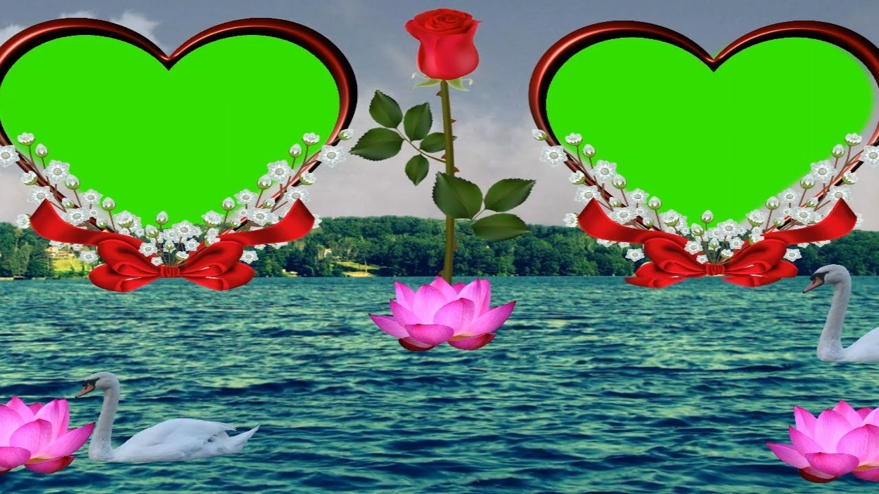 Video editing kine Master Backgrounds wedding green screen effects ...