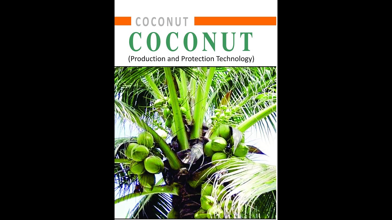 COCONUT FACTORY The New Agriculture Technology - YouTube