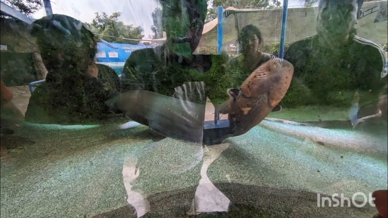 PASEO POR EL PARQUE DE LAS LEYENDAS - YouTube