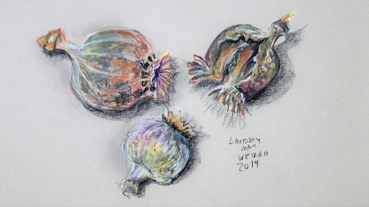 Sketchbook Sunday Poppy Seed Pods in Pastel Pencil - YouTube