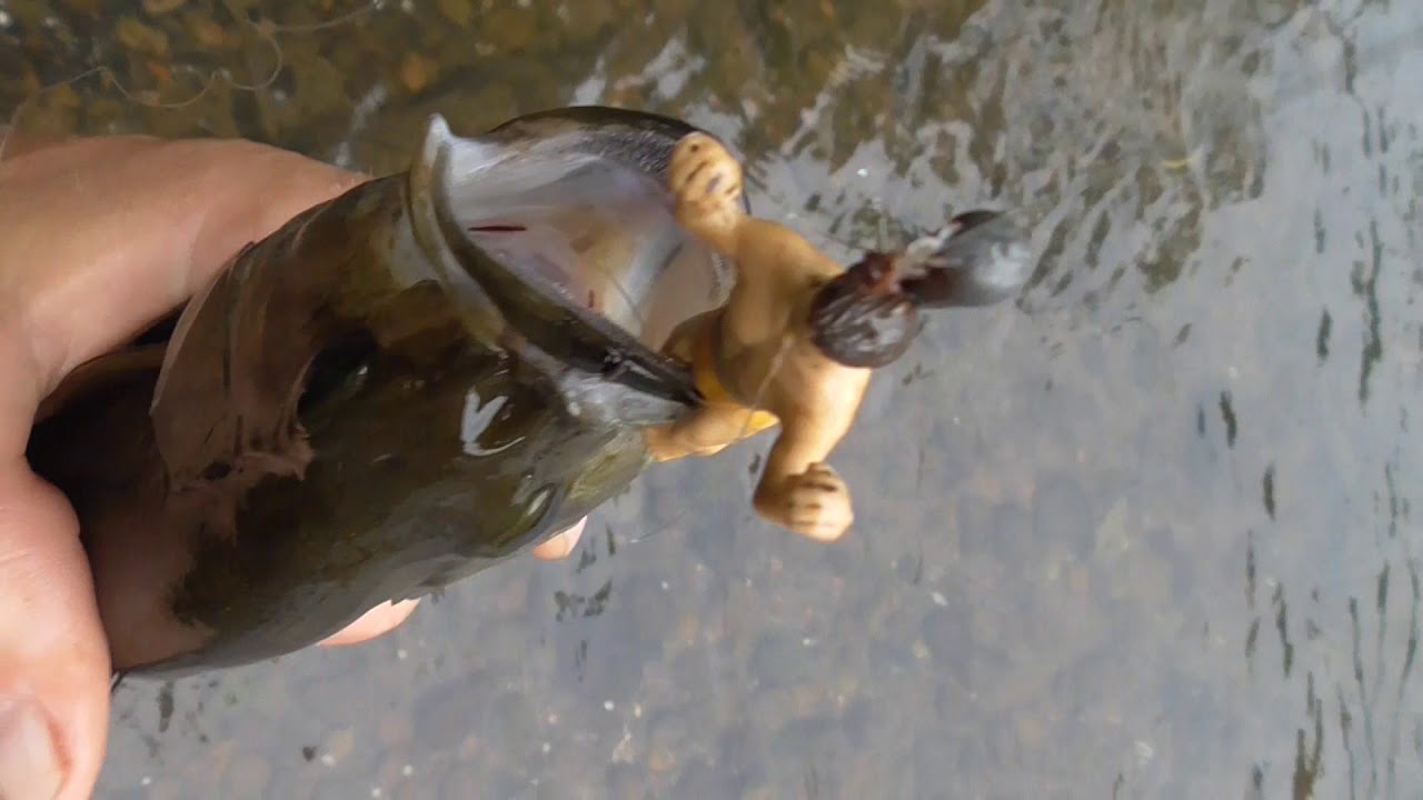 Fishing With a Human Lure - YouTube
