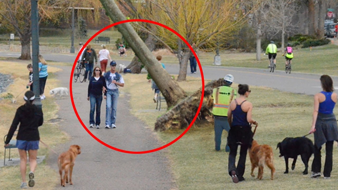 Amateur Tree Falling FAILS - YouTube