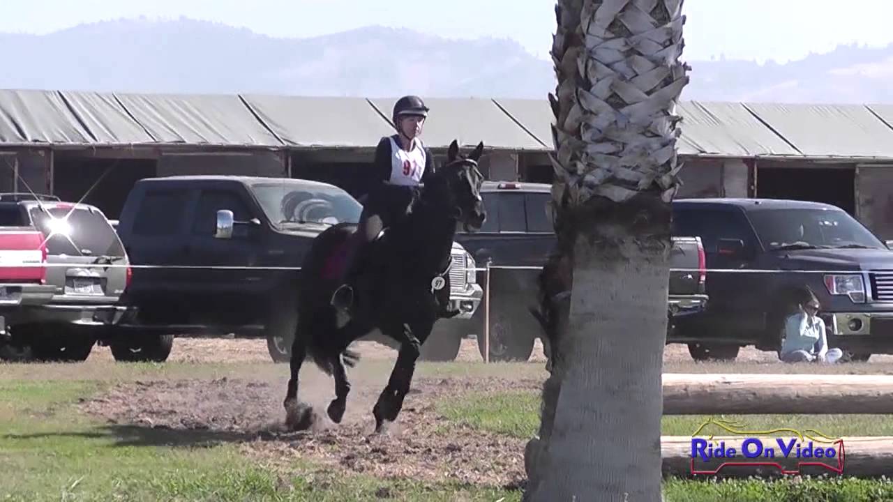 097XC Catherine Cummins on Goleeta SR Novice Cross Country Shepherd ...