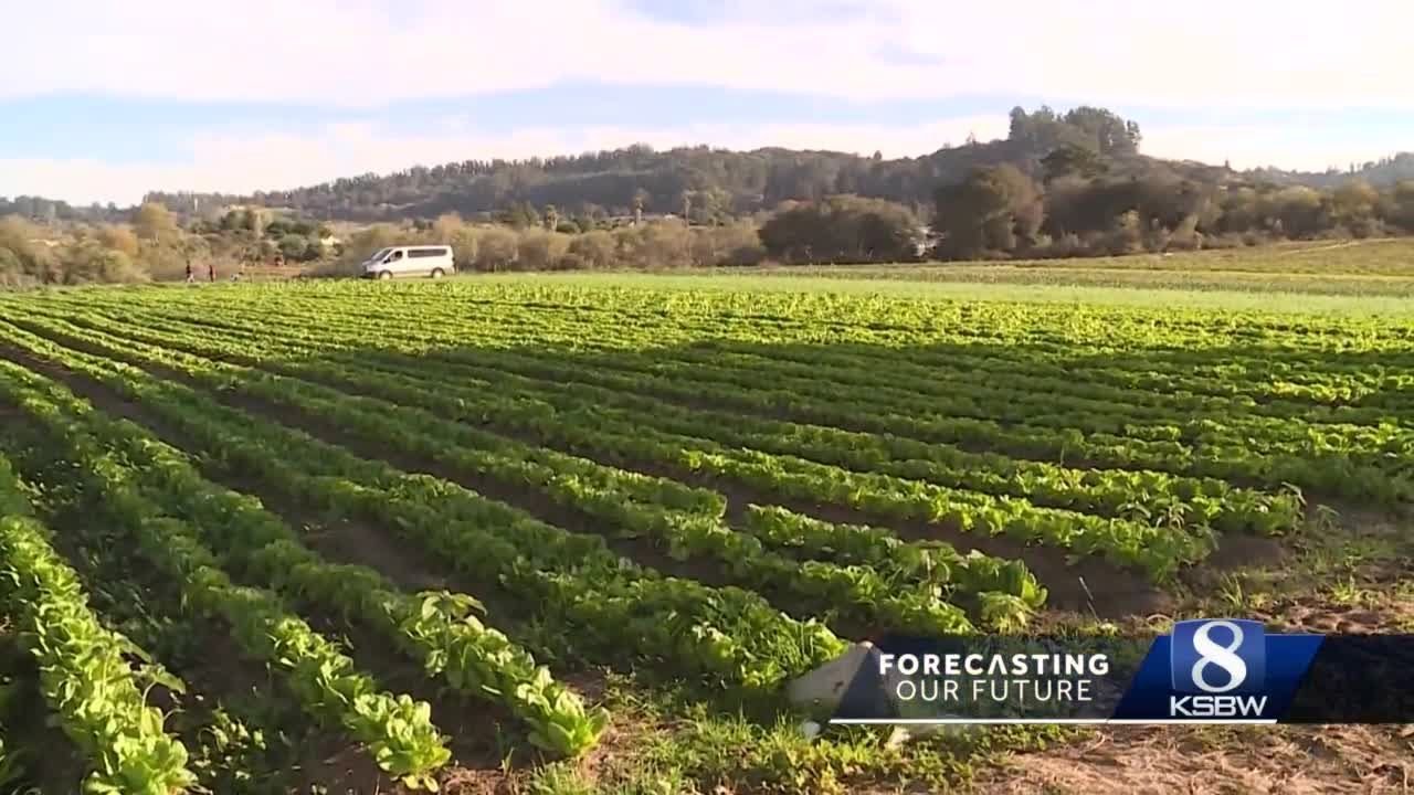 Forecasting Our Future: Santa Cruz organization helps farms transition ...