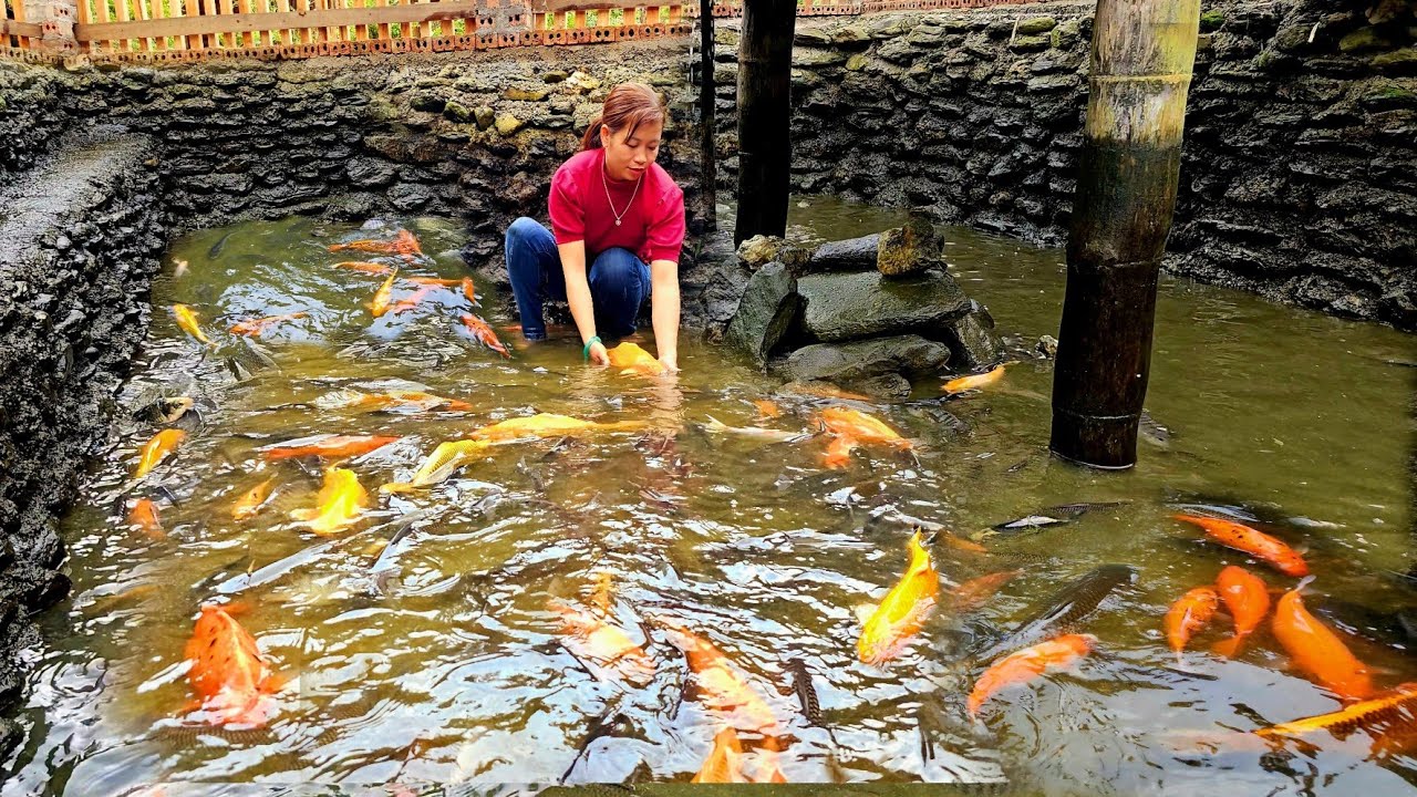 Full video 25 Days Create and care for new fish breed Build a farm life ...