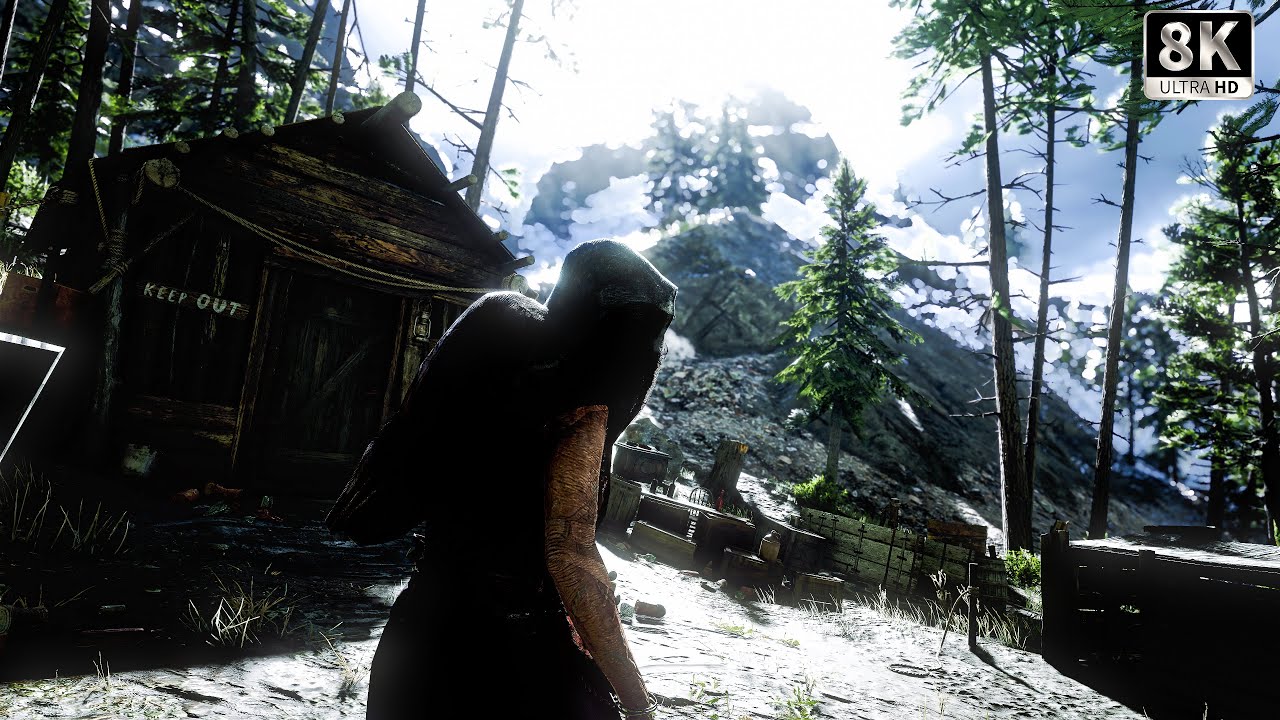 Pushing the Limits: RDR2 in 8K | RTX4080 & 5900X + Realistic ReShade ...