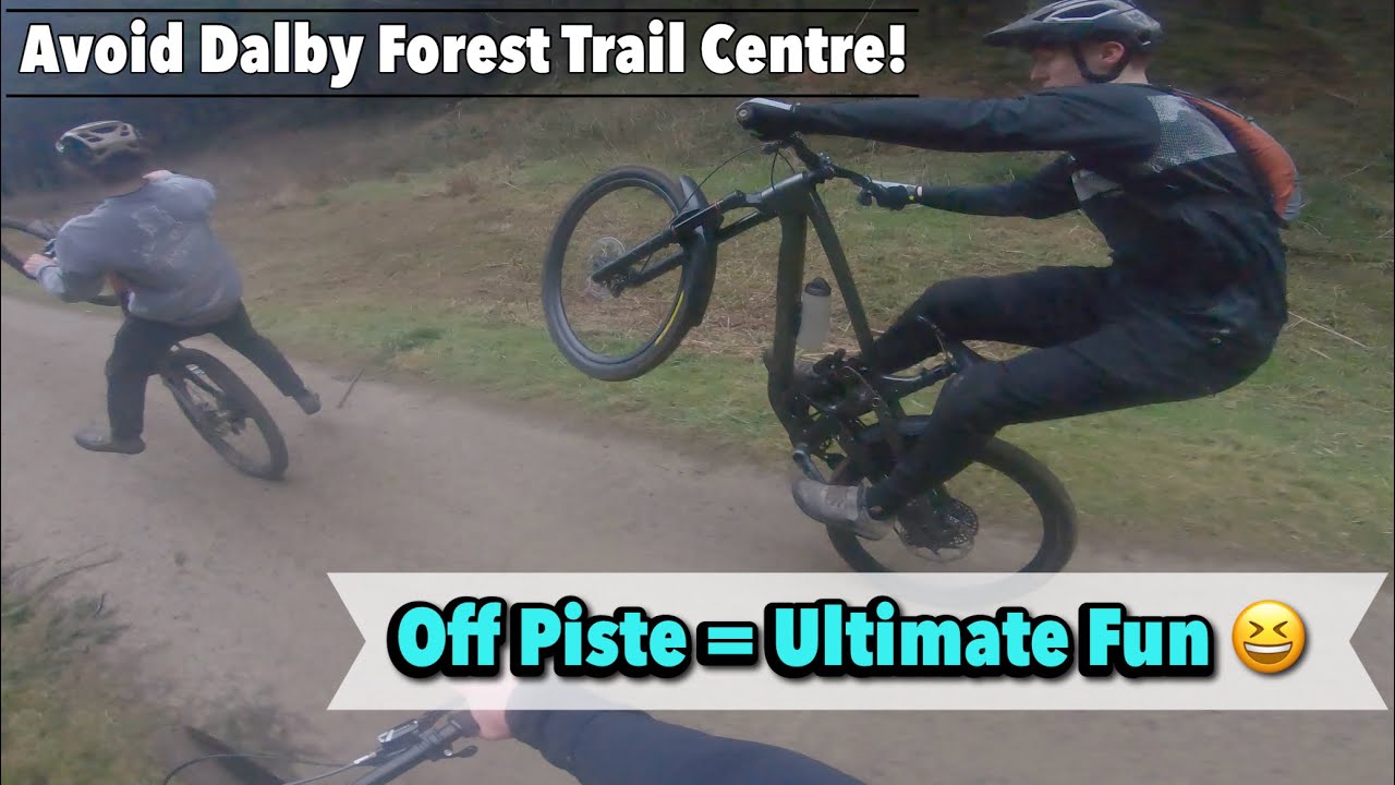 Dalby Forest Mountain Biking: Stick to the Off Piste Gold, Not Trail Centre Trash - YouTube