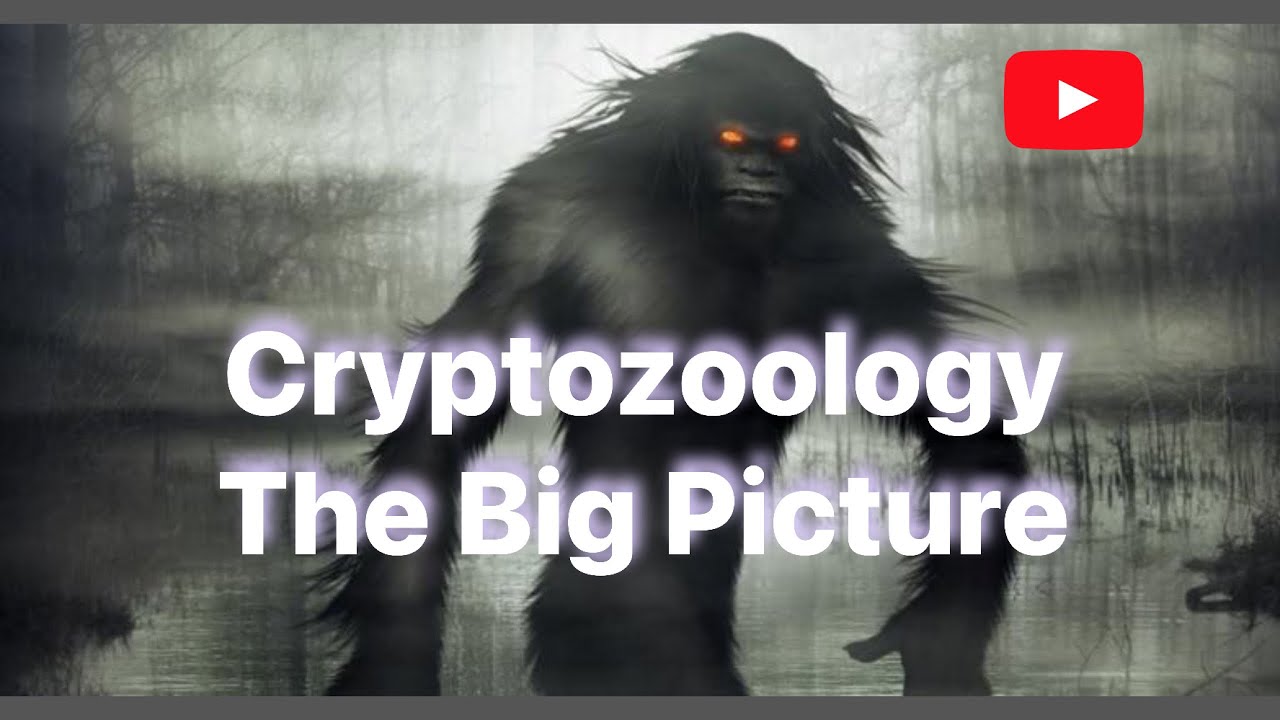 Cryptozoology The Big Picture - YouTube