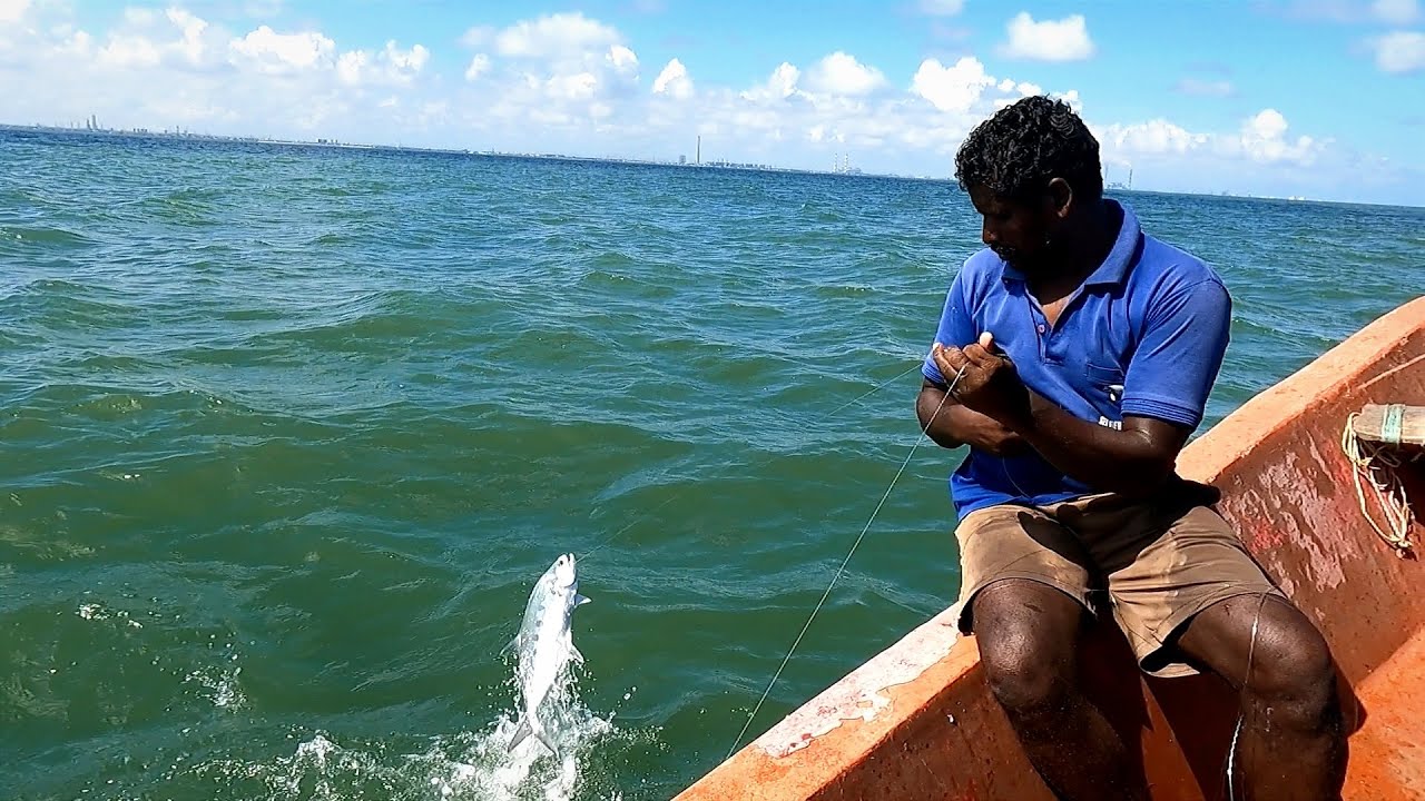 FISHING VIDEOS - YouTube