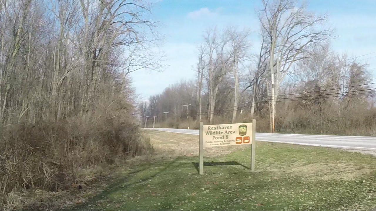 Resthaven Wildlife Area video tour - YouTube