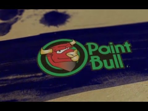 Paint Bull Business Opportunity - YouTube