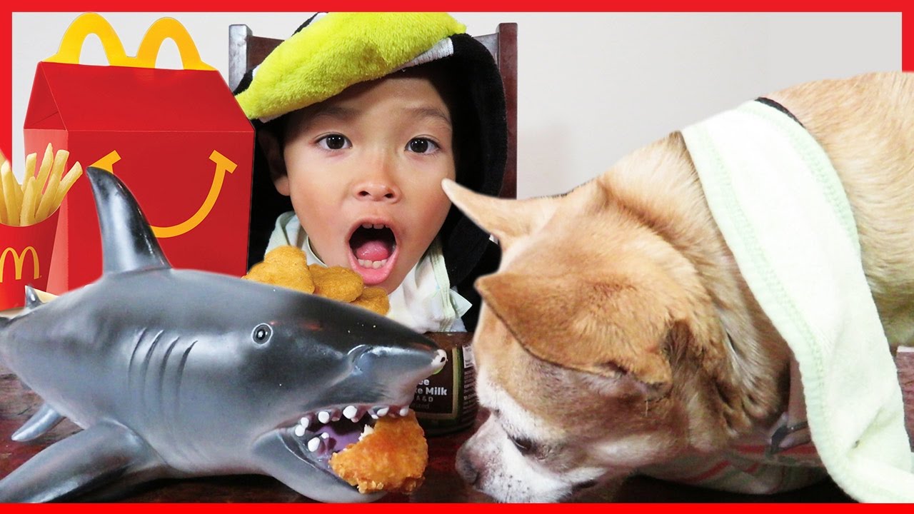 Feeding My Pet Dog and Shark McDonald's! Food Challenge With My Pet Dog ...