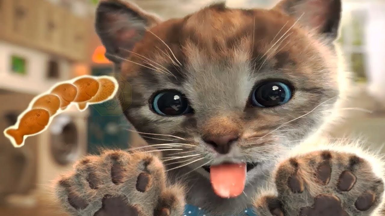 Little Kitten & Friends - Learn with the cutest cat! (Fox and Sheep ...
