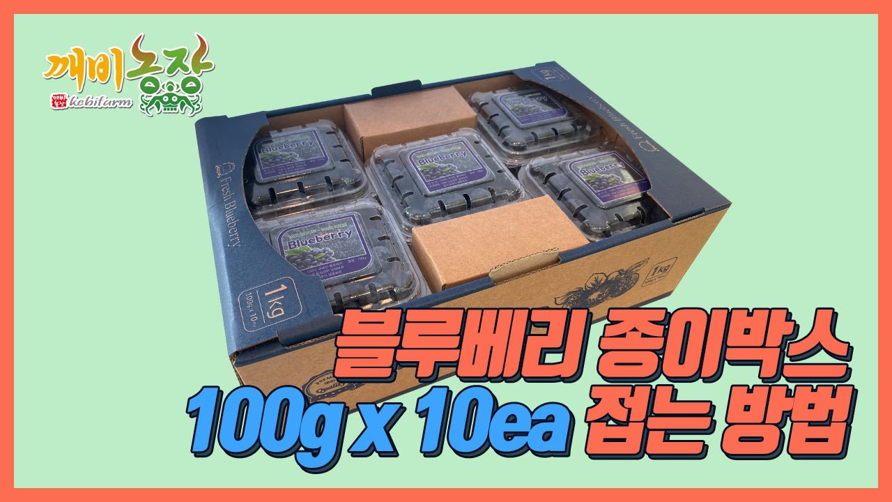 블루베리 종이상자 1kg (100g x 10ea) 접는 방법 - YouTube