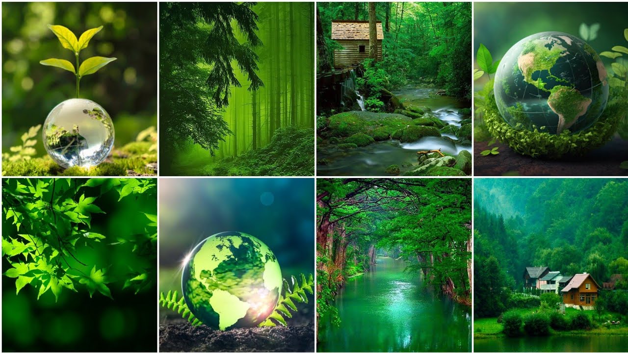 Unique Green World dp photo | Green world Hd Wallpaper |Nature dp ...