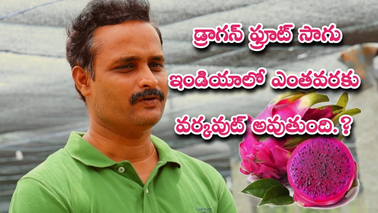 Interview with Kishore kumar reddy(PART 2) Dragon fruit cultivation # ...