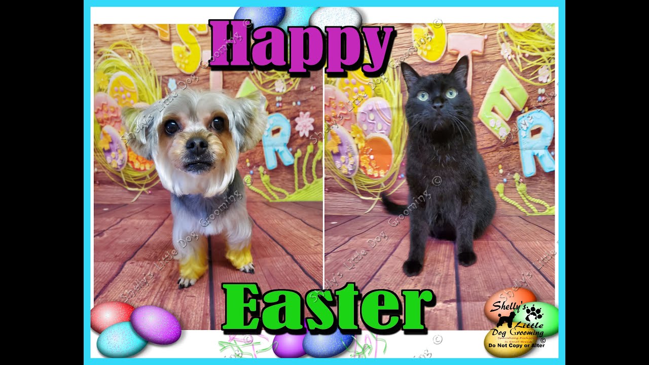 🐣 Happy Easter 🐇 - YouTube