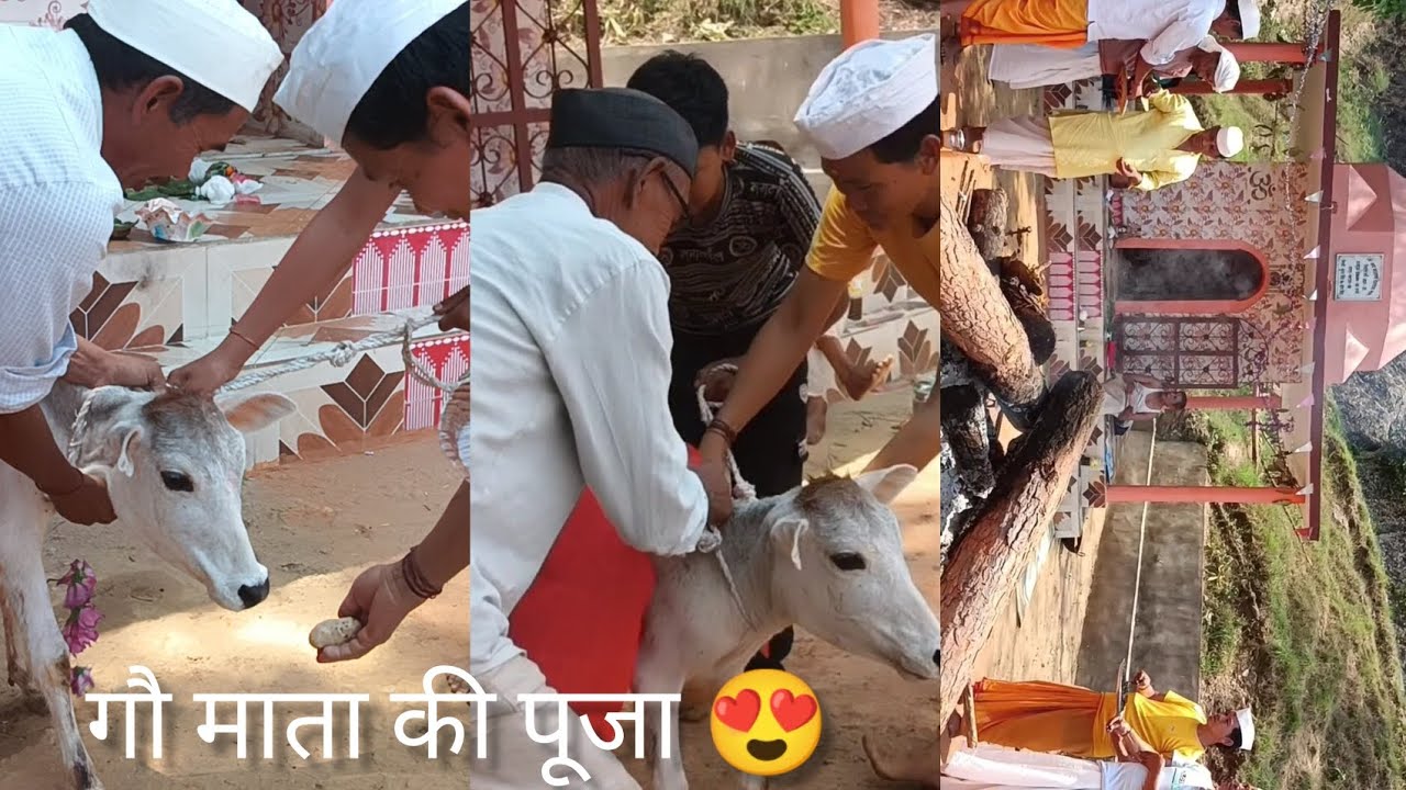 kalsan mandir m aaj Gau Mata ki poja bhi ho gyi😍 (शुद्धिकरण) #vlogs # ...