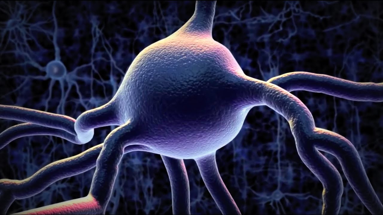 Optogenetics, Explained. - YouTube