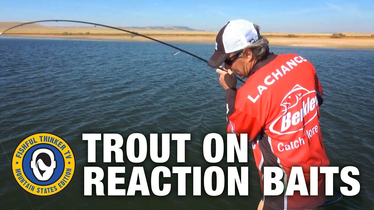 Trout on Reaction Baits (trout fishing); Fishful Thinker TV - YouTube