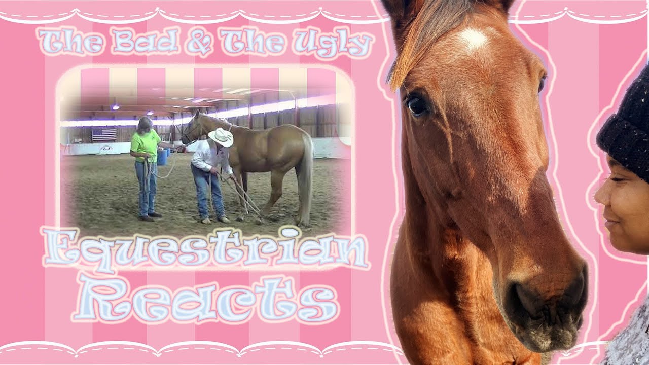 Equestrian Reacts: Abusive Horse Training - The Bad and Ugly - YouTube