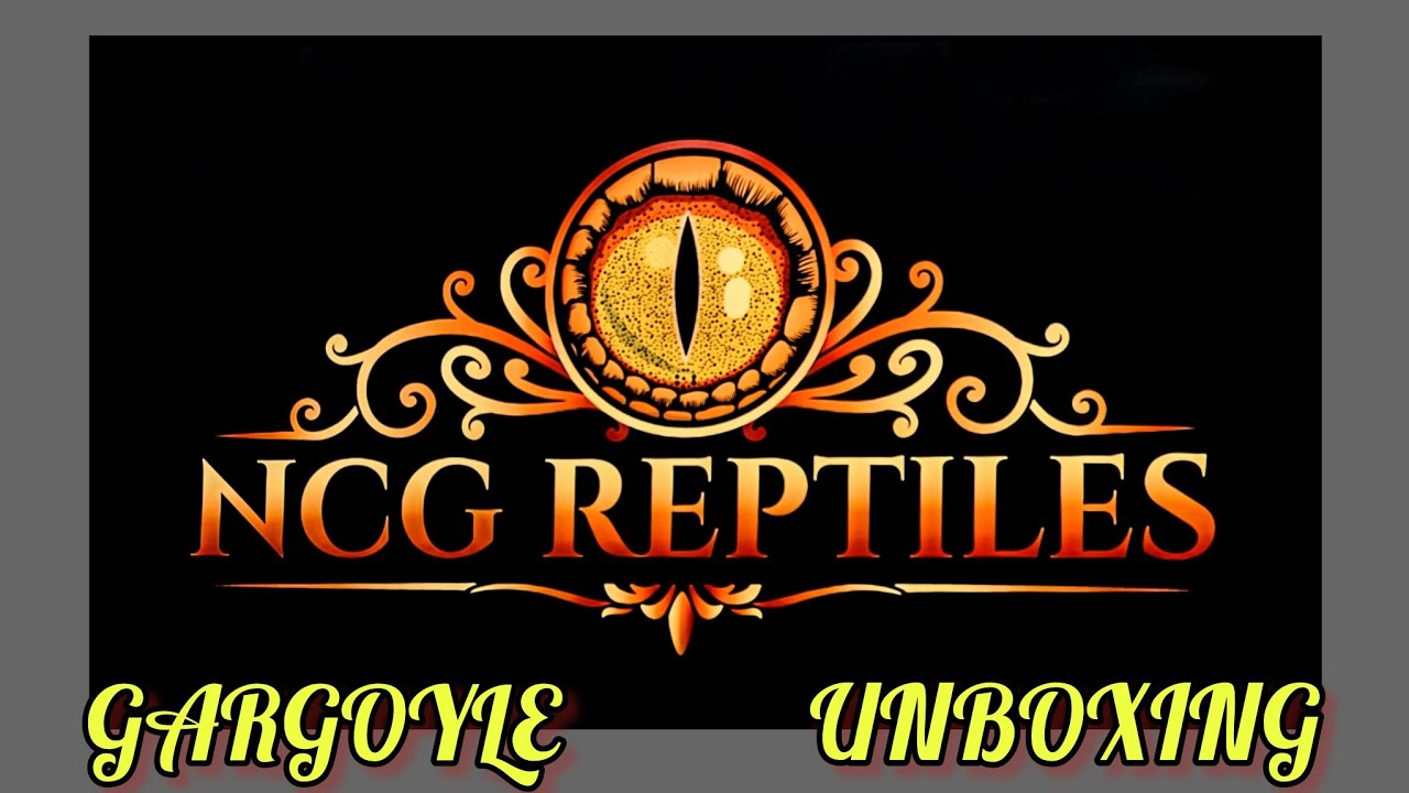 Unboxing.....of Red 0n Red Gargoyle Gecko! - YouTube