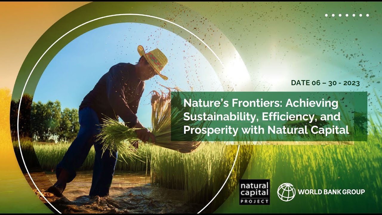 Nature’s Frontiers: Achieving Sustainability, Efficiency, and ...