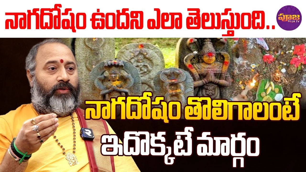 Tallury Banaras Guruji about Naga Dosham | నాగదోషం ఉందని ఎలా ...