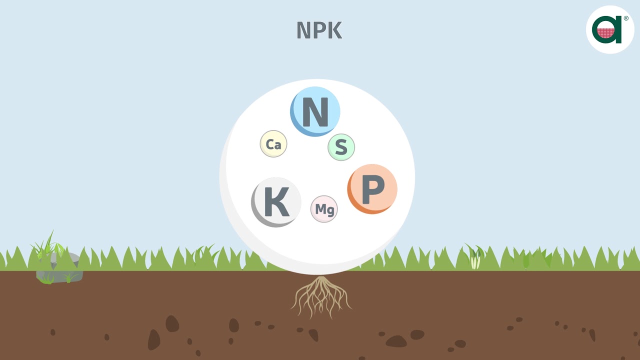 NPK Complex Fertilisers - YouTube