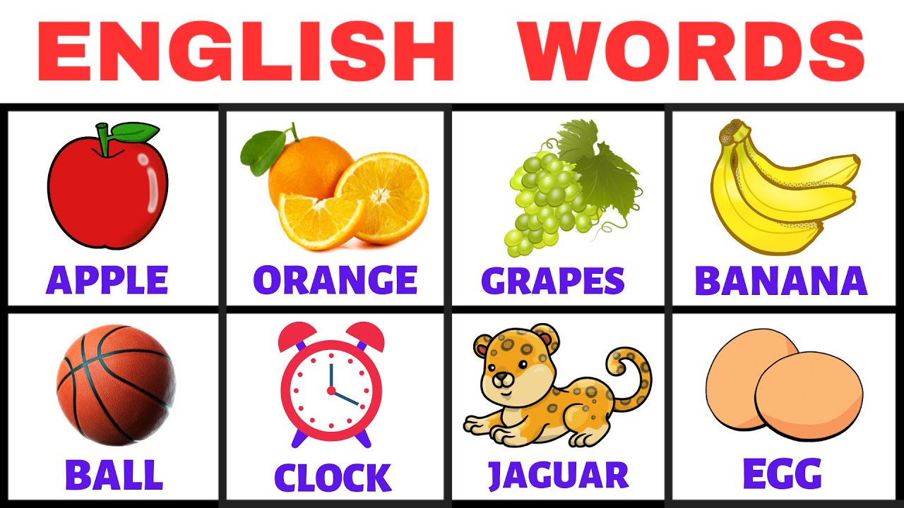 My First Words | Learn Basic English Vocabulary | English Words ...