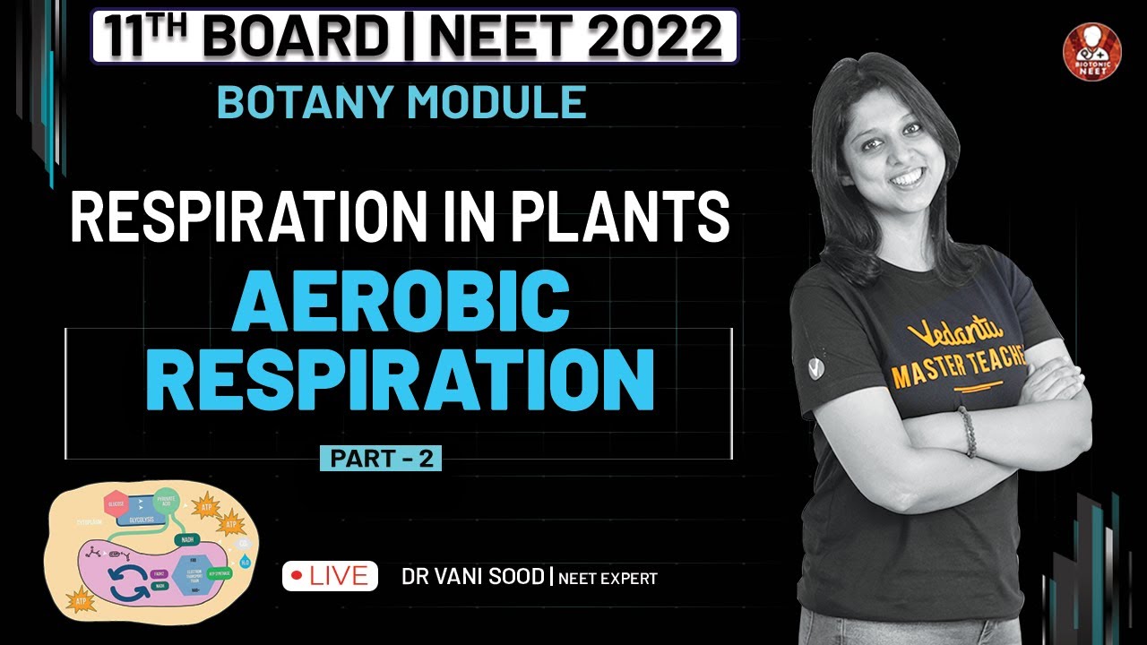Respiration in Plants- 02 | Aerobic Fermentation | Class 11 | NEET 2022 ...