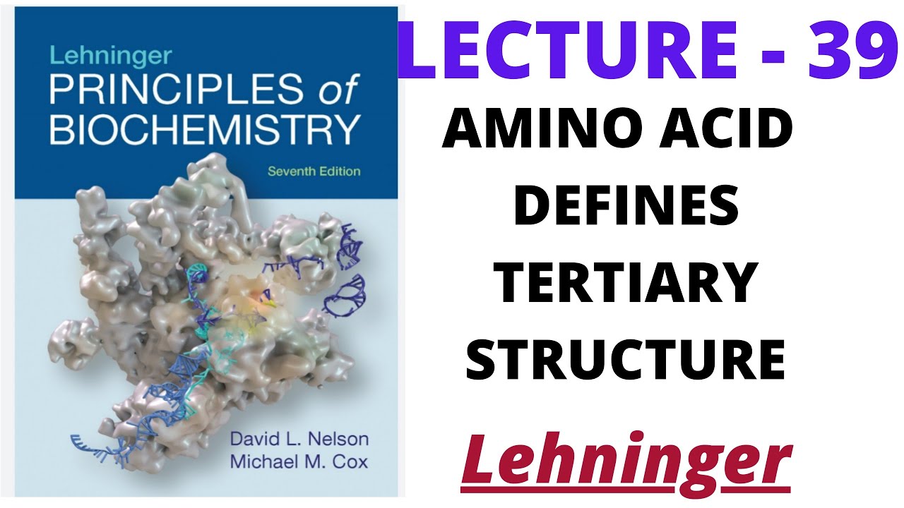 Amino Acid Sequence Determines Tertiary Structure || lecture - 39 ...