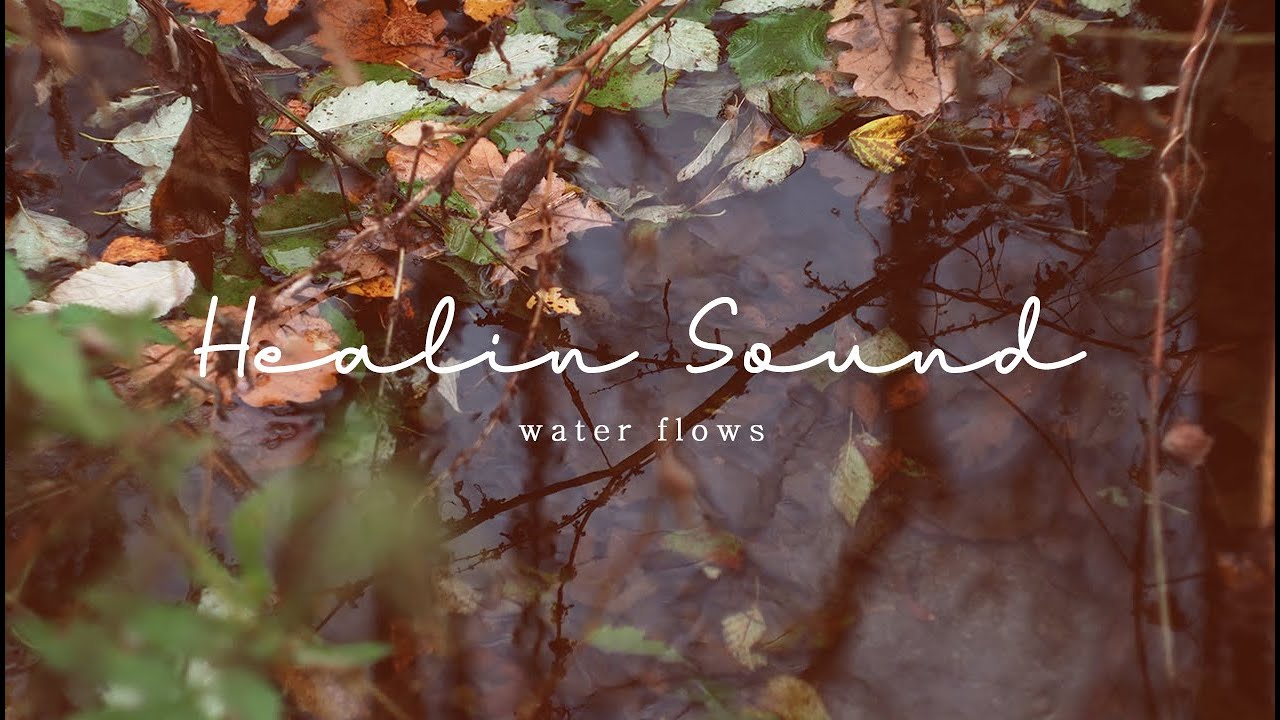 [Healing Sound] A stream, the sound of flowing water, the sounds of ...