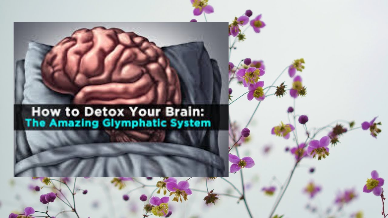 How to detoxify your brain, Maintain 5 simple tips - YouTube