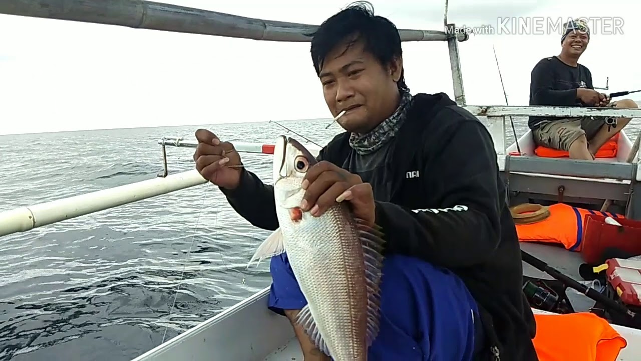 Panen Kurisi Cablak(rusty snapper) dan amberjack paud - YouTube