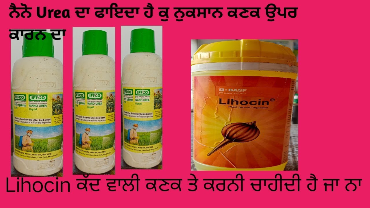 Nano Urea Wheat crop .BASF Lihocin - YouTube