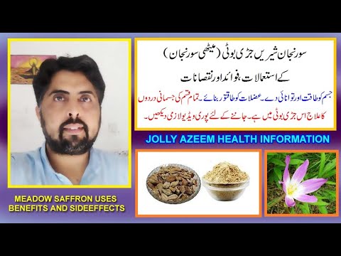 suranjan shirin kay fawaid aor nuksan | autumn crocus / meadow saffron ...