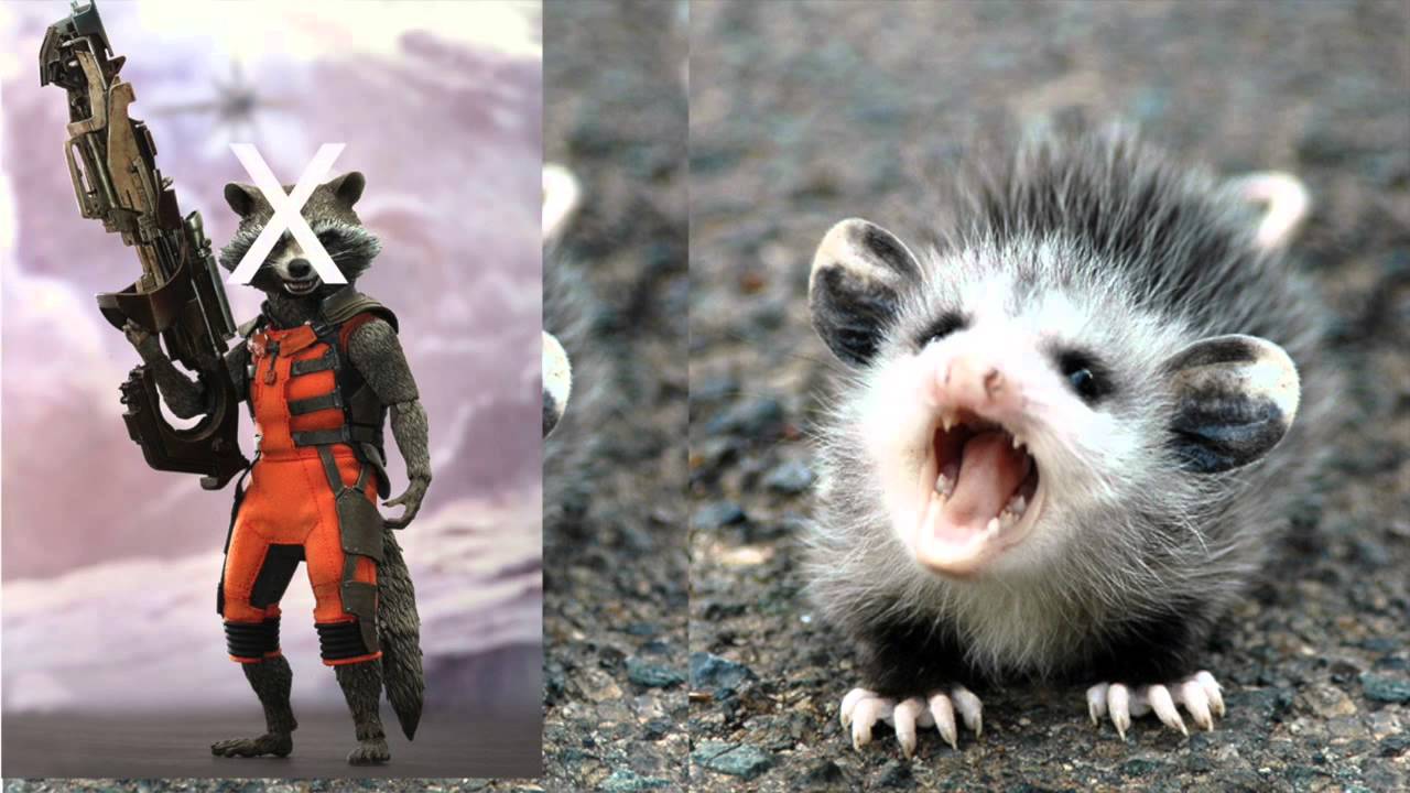 The Phenomenal Manicous - YouTube