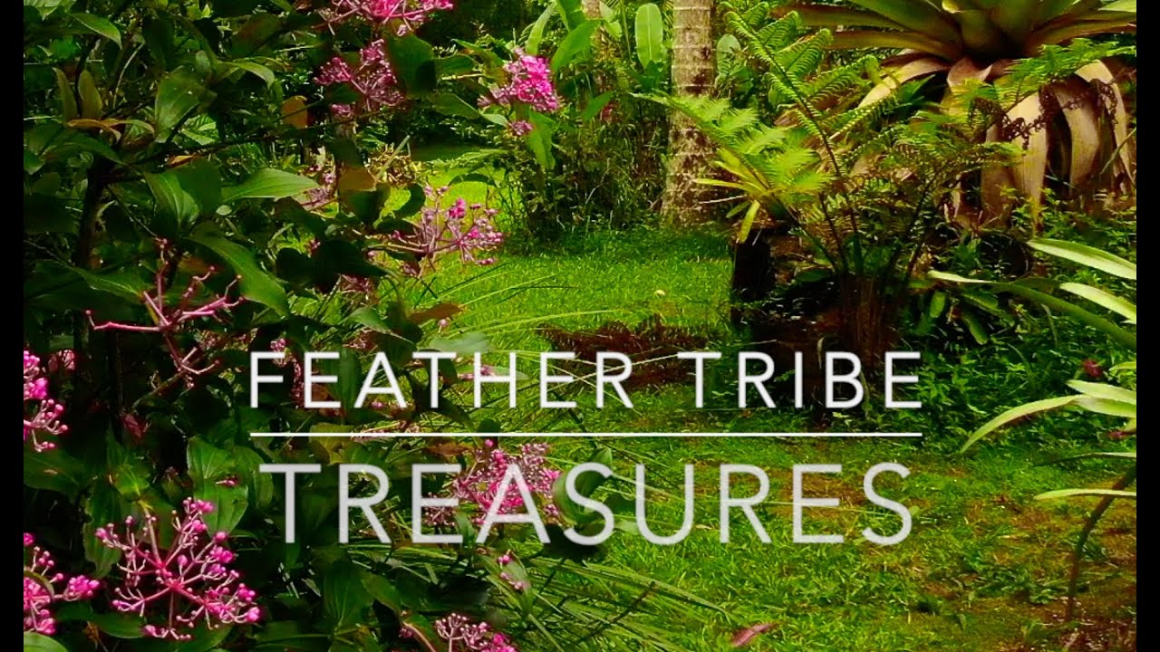 Feather Tribe Treasures - YouTube