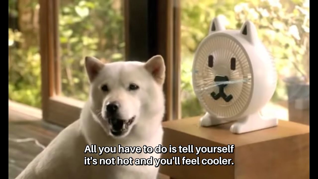 White Family SoftBank Dog CM #130. "Family Quarrel" Japanese CM [ENG ...