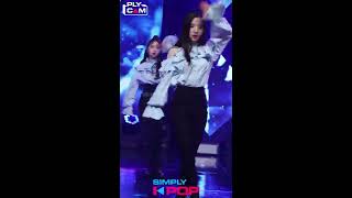 Simply Kpop | Team Subbits