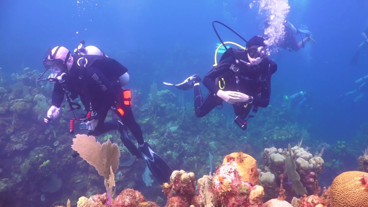 Anthony's Key Resort Diving Video, Roatan November 2015 - YouTube
