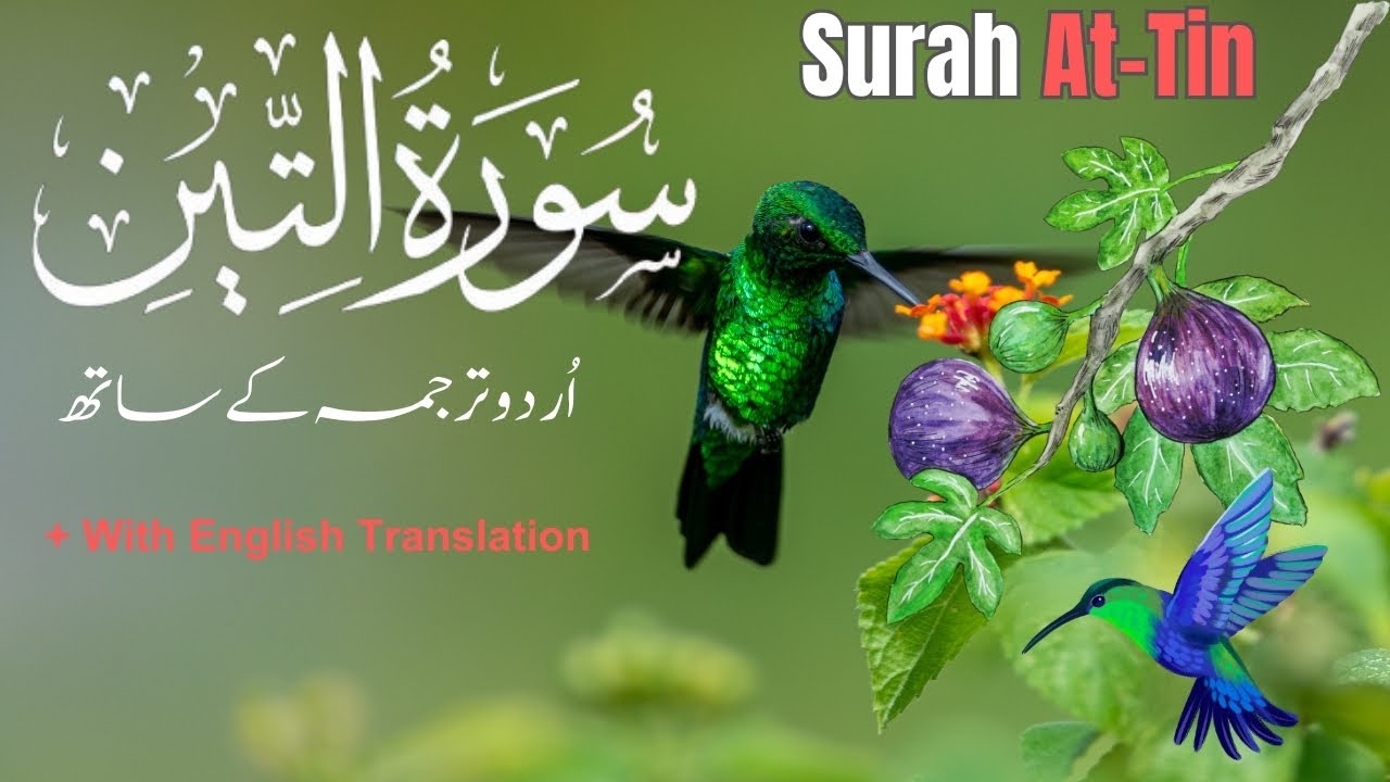 Surah At-Tin Recitation | Full With Translation (HD) | 95-سورۃ التین ...