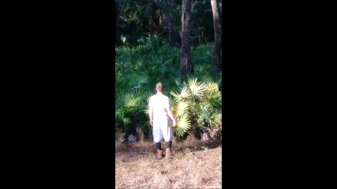 green swamp hog dog hunt #3 - YouTube