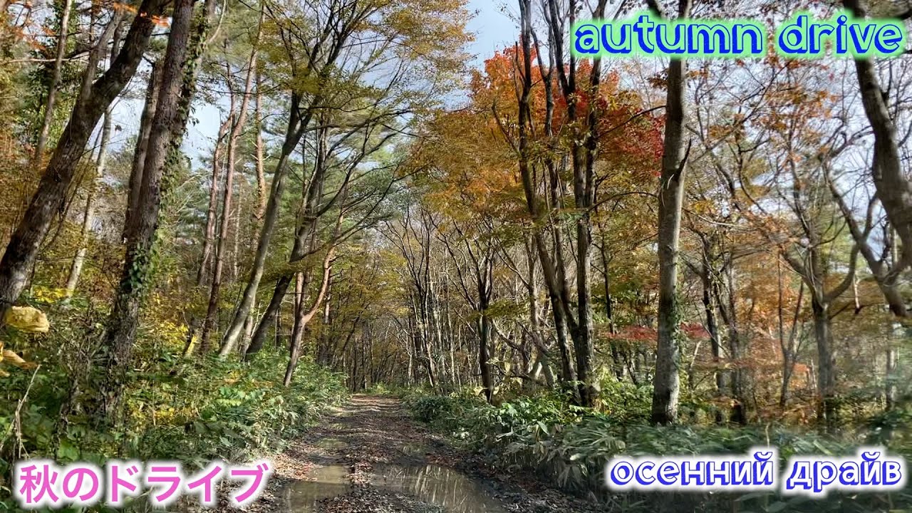 秋のドライブ/осенний драйв/autumn drive - YouTube