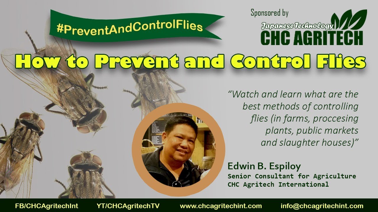 Prevent and Control Flies in Farms, Public Markets, and Processing ...