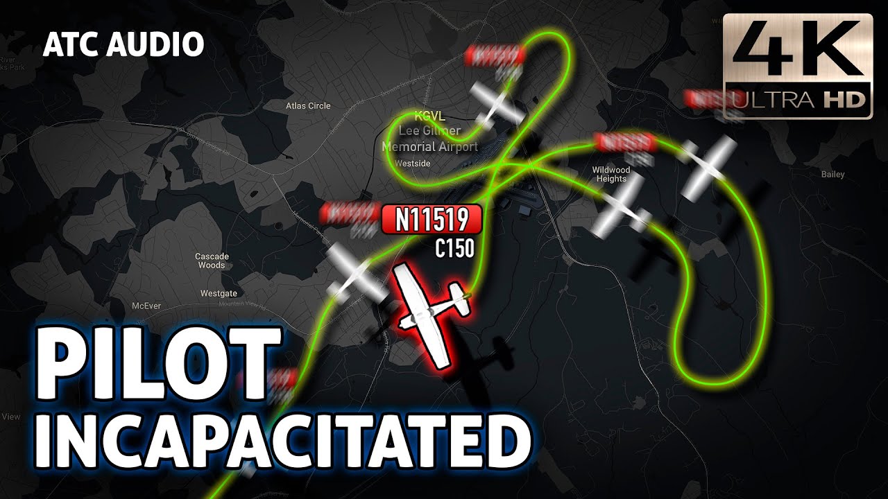 PASSENGER Takes Control and CRASH LANDED After PILOT INCAPACITATED Mid ...