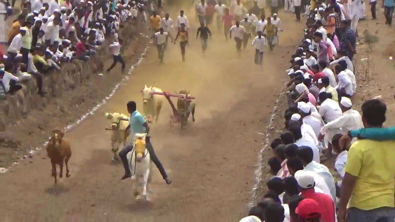 Bailgada sharyat fanal samrat pune - YouTube