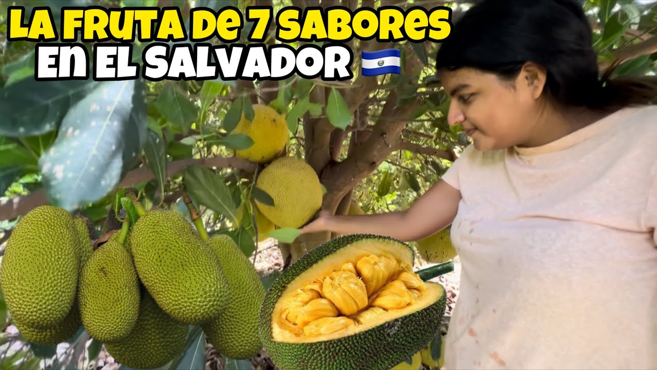 😱LA FRUTA DE 7 SABORES EN EL SALVADOR 🇸🇻 cuantos lo an aprobado - YouTube