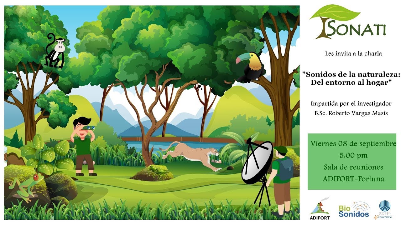 Sonidos de la naturaleza - YouTube